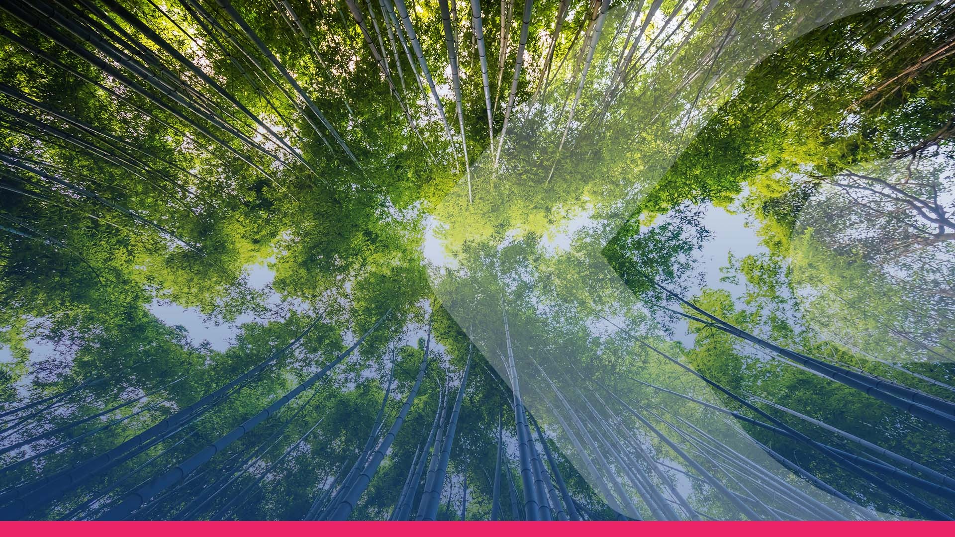 Going Paperless: EPOS and Sustainability | KCPOS